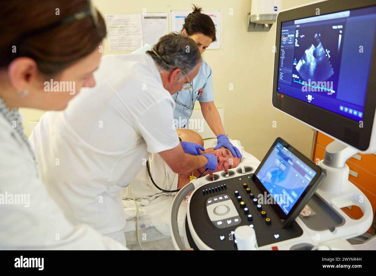 3D cardiac ultrasound, Hospital Donostia, San Sebastian, Gipuzkoa ...