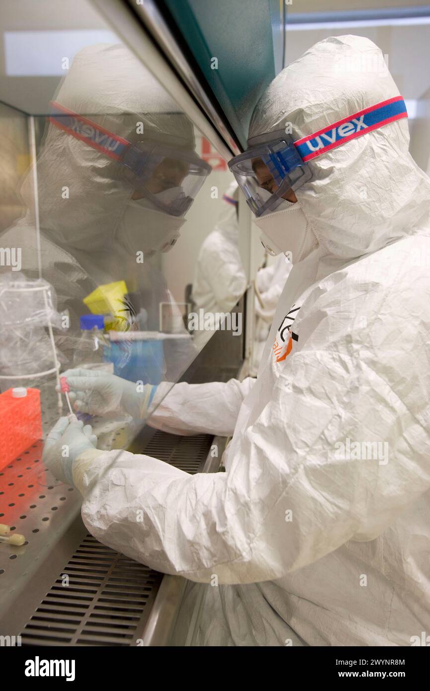 Labelling brushes, research on avian flu, Laboratory of Bio-Safety ...