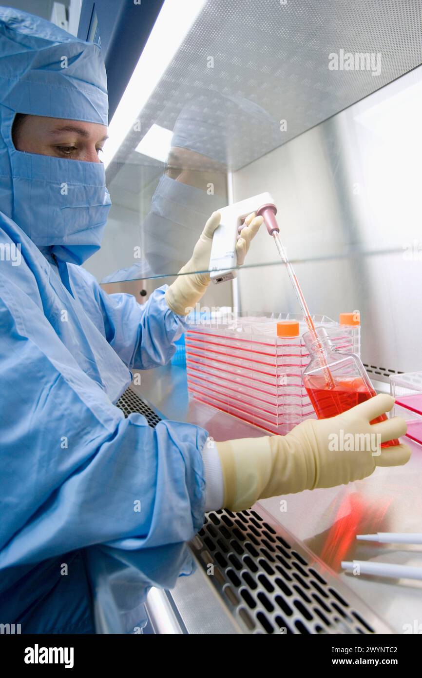 Clean room, preparing cultures in laminar flow cabinet, DMEM (Dulbeco´s ...