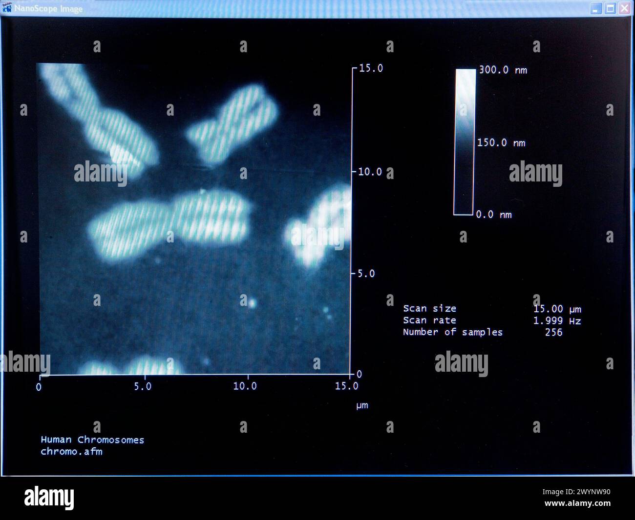 Nanoscope iiia hi-res stock photography and images - Alamy