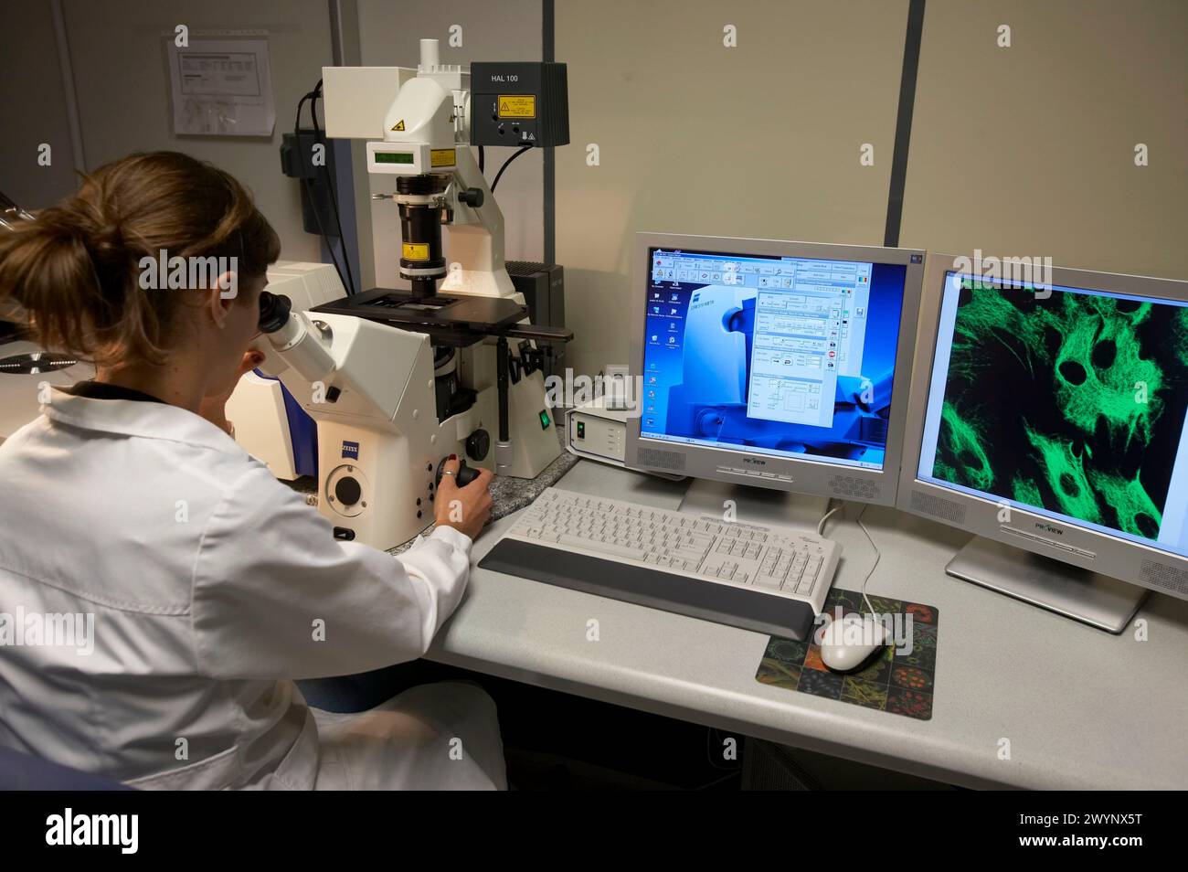 Technical staff working with Zeiss LSM 510 Meta Confocal Microscope ...
