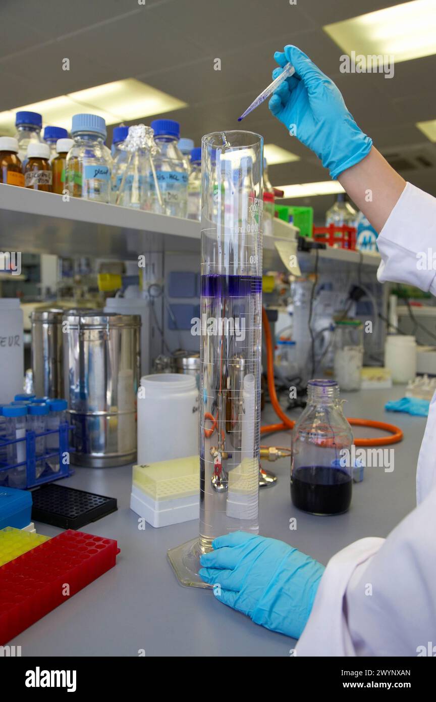 Staining, biopharmaceutical laboratory, development of new therapeutic ...