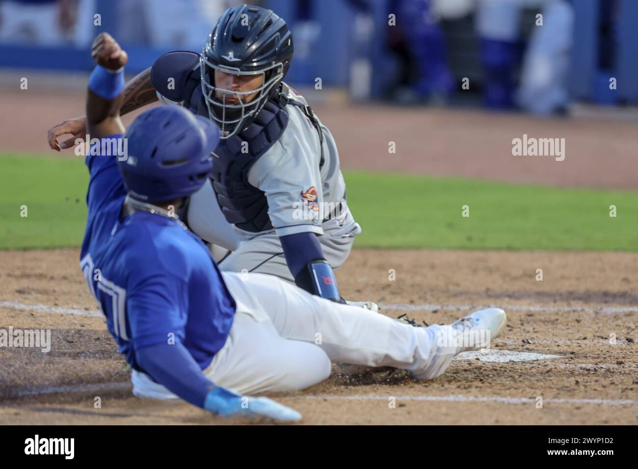 Dunedin, FL: during an MiLB game on April 6, 2024 at TD Ballpark. The Blue Jays beat the Flying ...