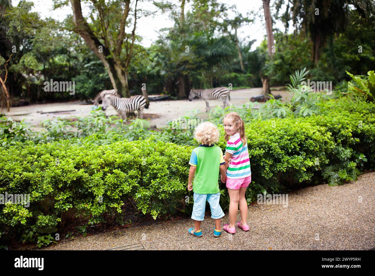 Family watching zebra in zoo. Boy and girl in tropical safari park ...