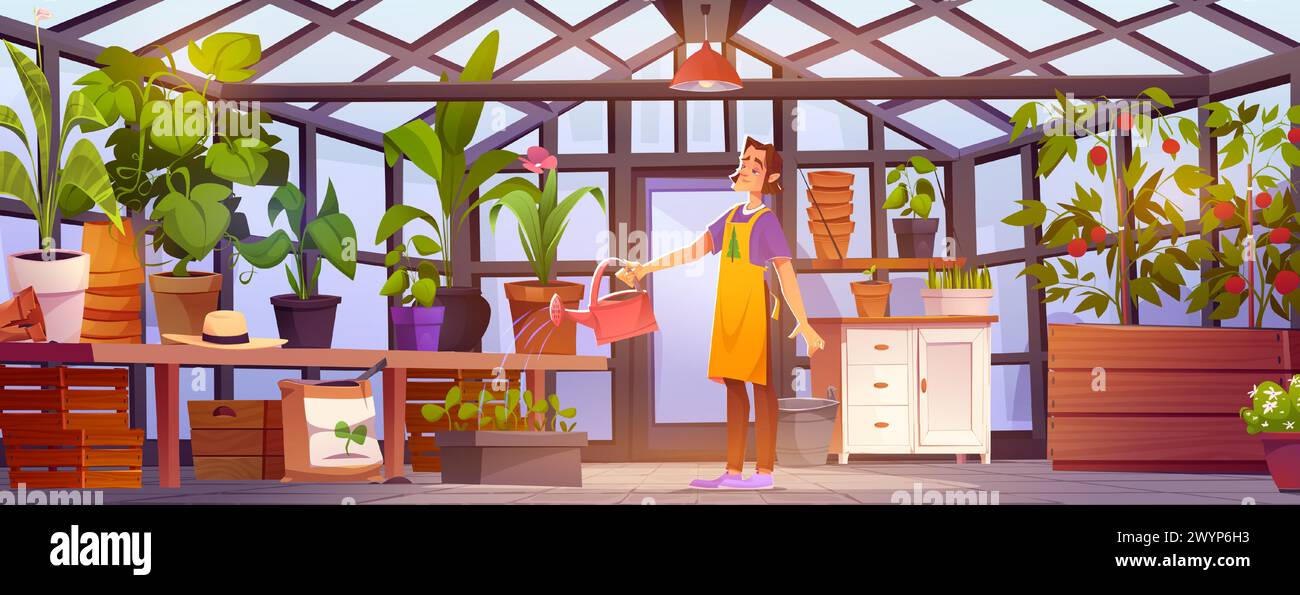 Flower in pot in greenhouse garden interior. Plant nursery on terrace ...