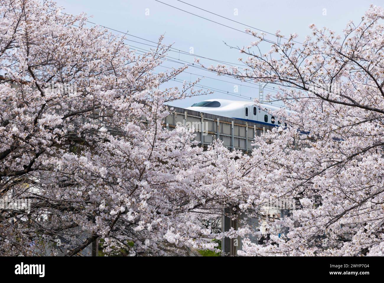 Shinkansen train rides on hi-res stock photography and images - Alamy