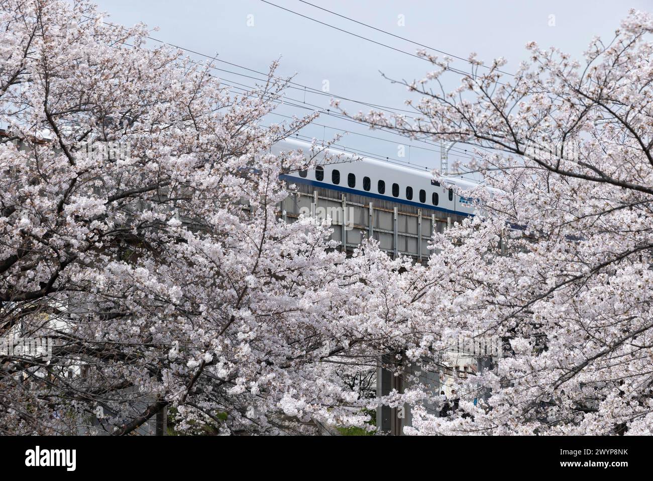 Shinkansen on bridge hi-res stock photography and images - Alamy