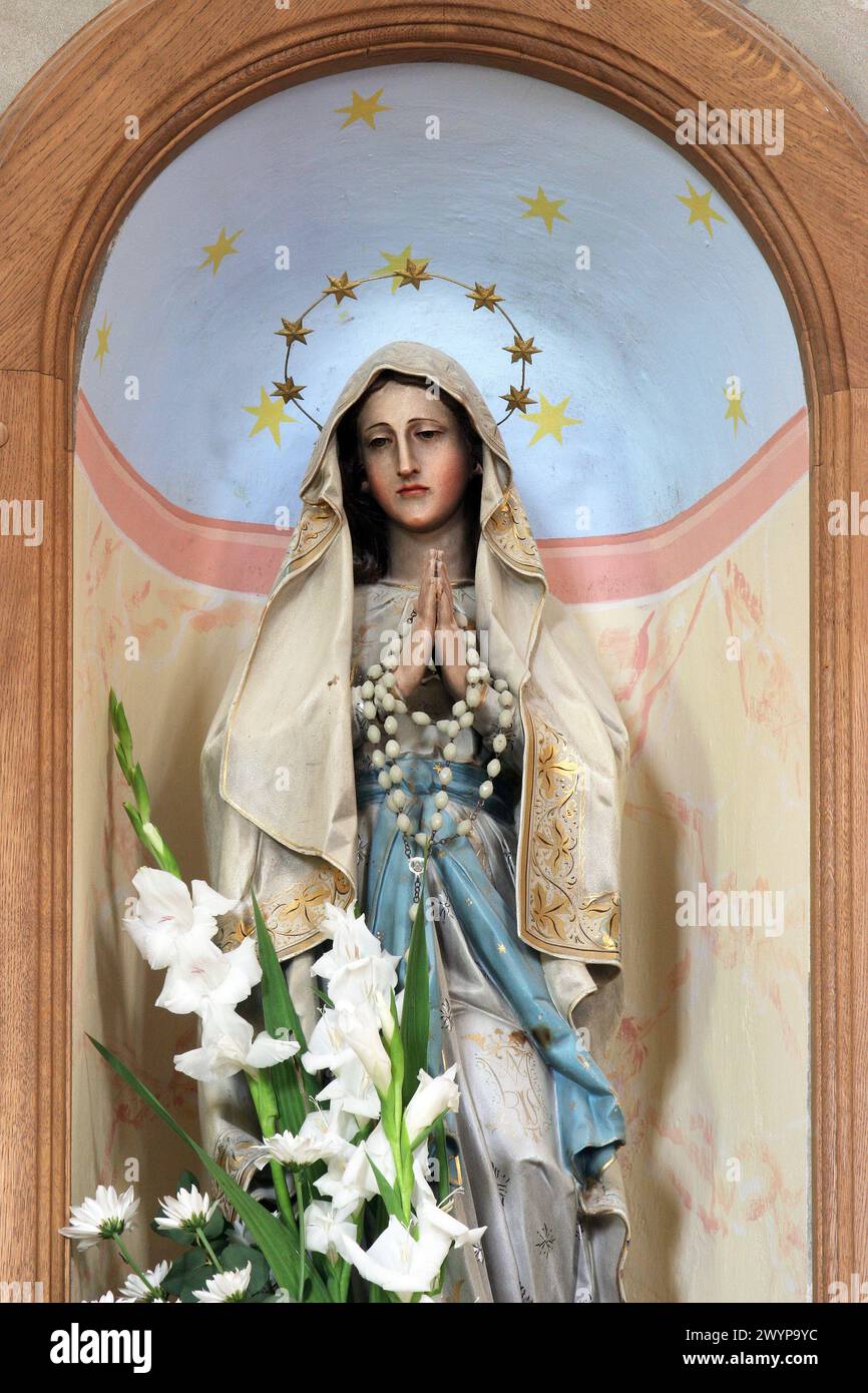 Virgin Mary Queen of the Holy Rosary, Church of St. Martin in Breznicki ...