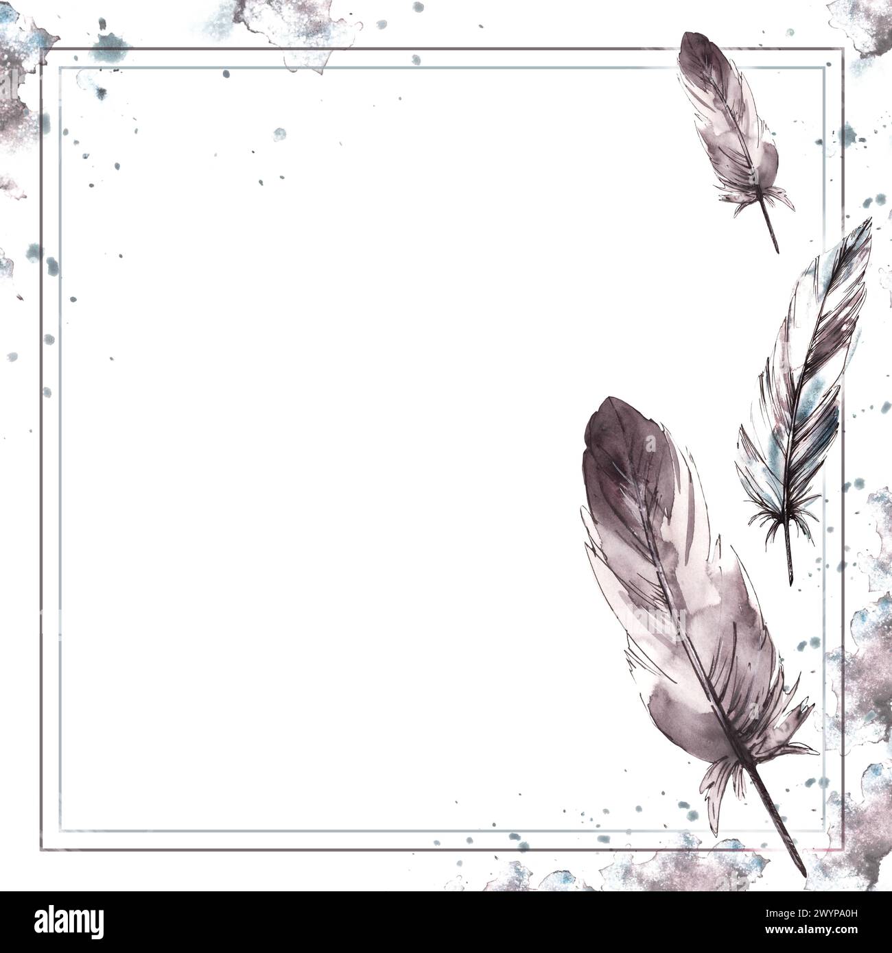 Watercolor painted monochrome frame. Bird grey feathers with graphic ...