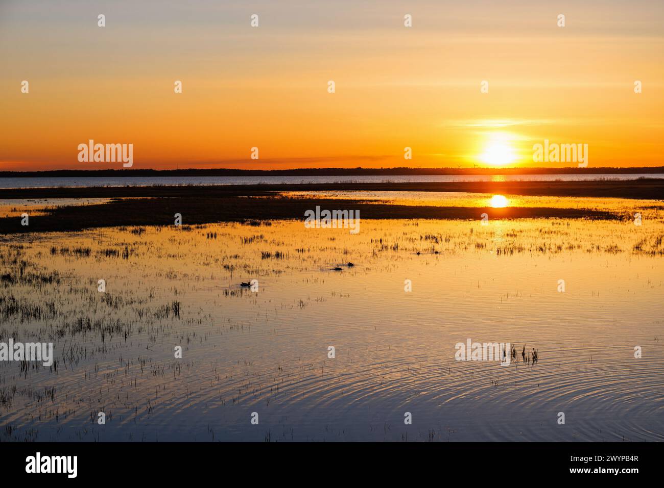 With sunset reflection dawn no one in the lake hi-res stock photography ...