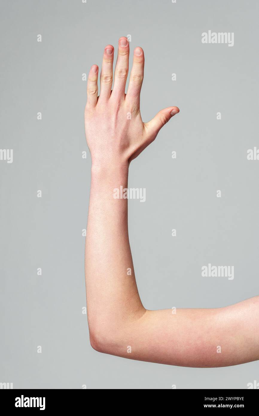Human Hand Raised Against a Neutral Gray Background in a Studio Setting ...