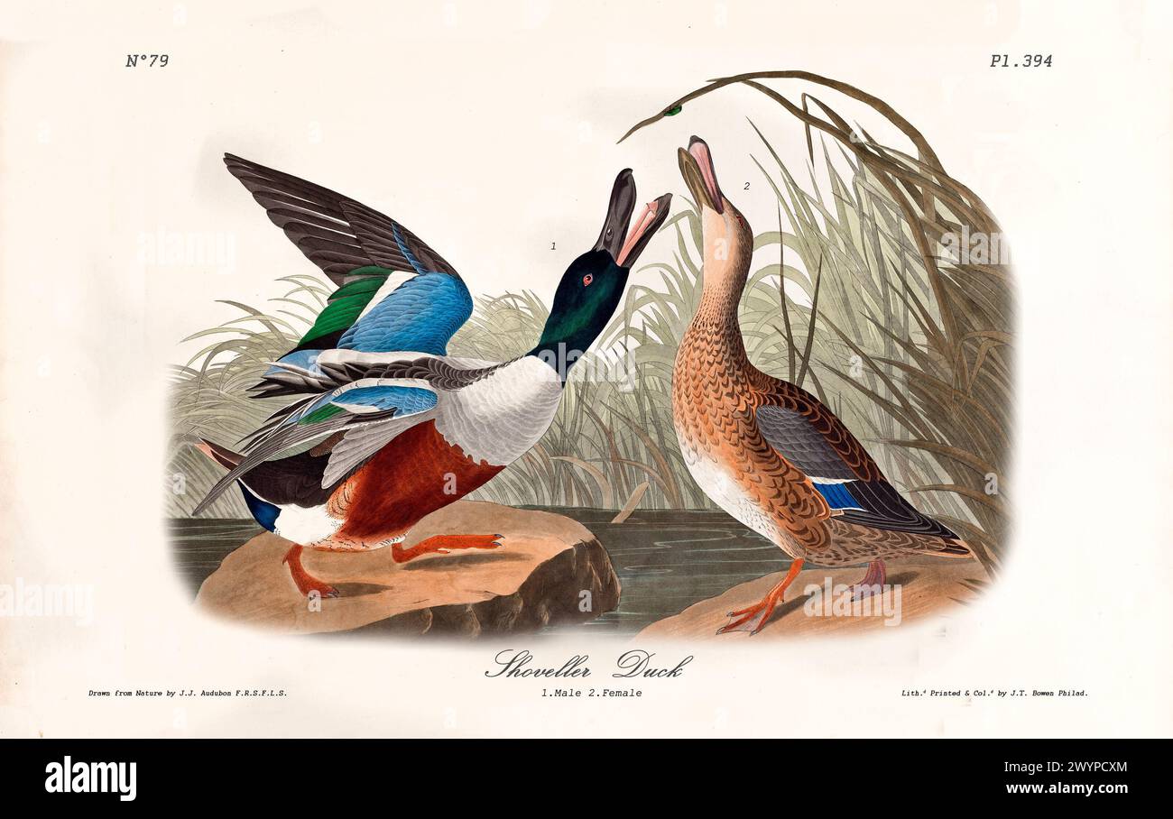 Open bills hi-res stock photography and images - Alamy