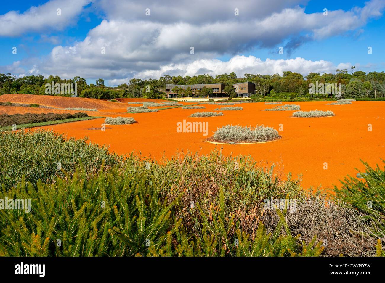 Beautiful landscapes at Royal Botanic Gardens Cranbourne, Melbourne ...