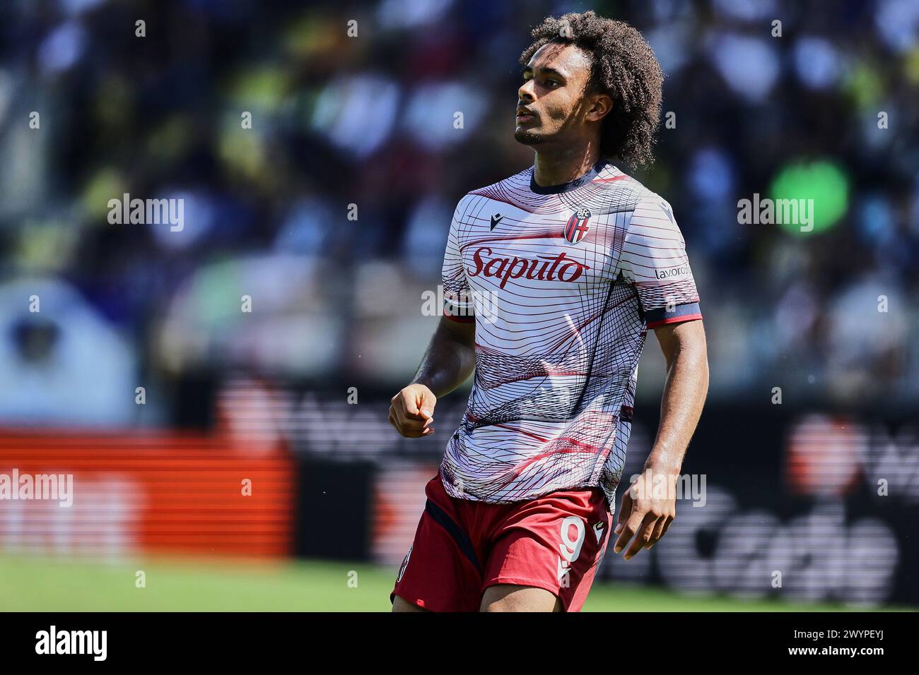 Bologna's Dutch forward Joshua Zirkzee looks during the Serie A ...