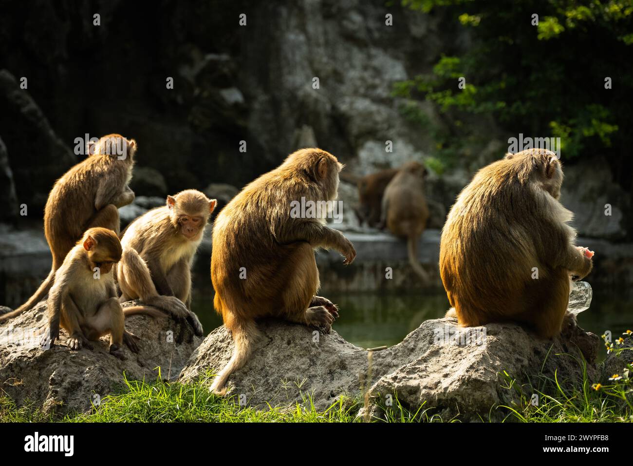 Native of central asia hi-res stock photography and images - Alamy