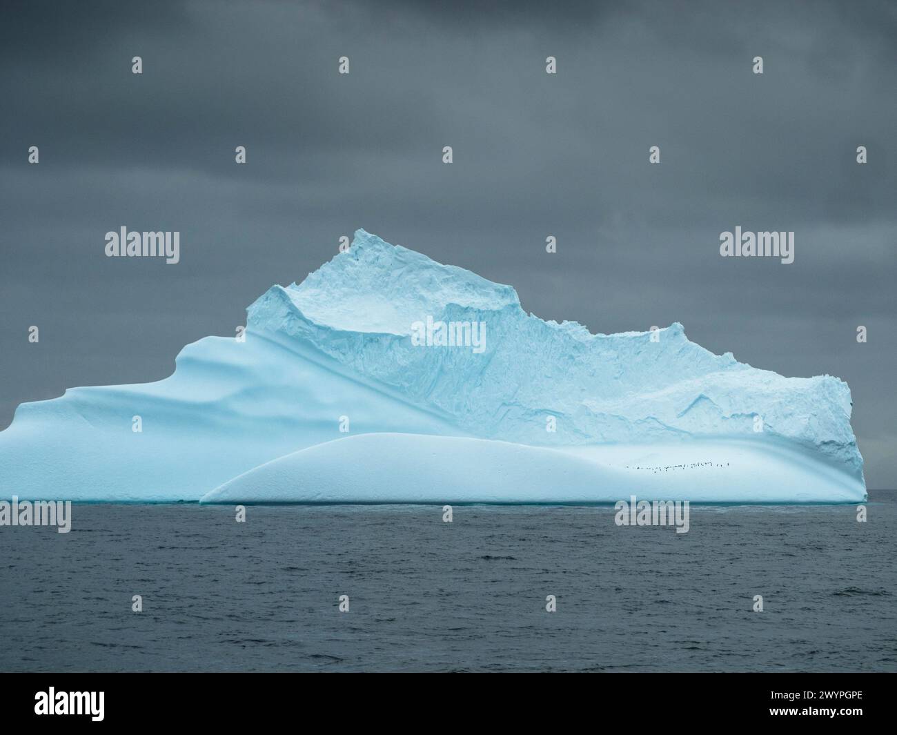 Contour De L'iceberg