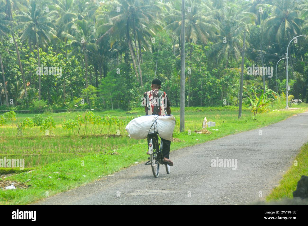 scene a man pedaling his bicycle and carrying a sack of grass to bring ...