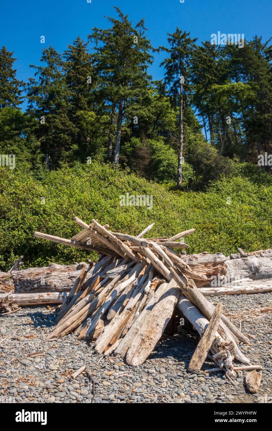 Driftwood at Ruby Beach in Olympic National Park in Washington State ...