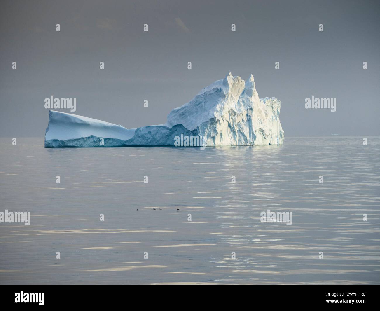 Blue iceberg off coast hi-res stock photography and images - Alamy