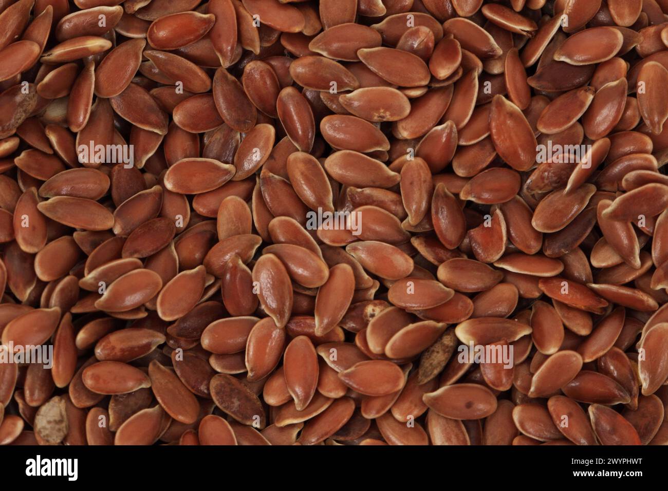 flaxseed texture as very nice natural food background Stock Photo - Alamy