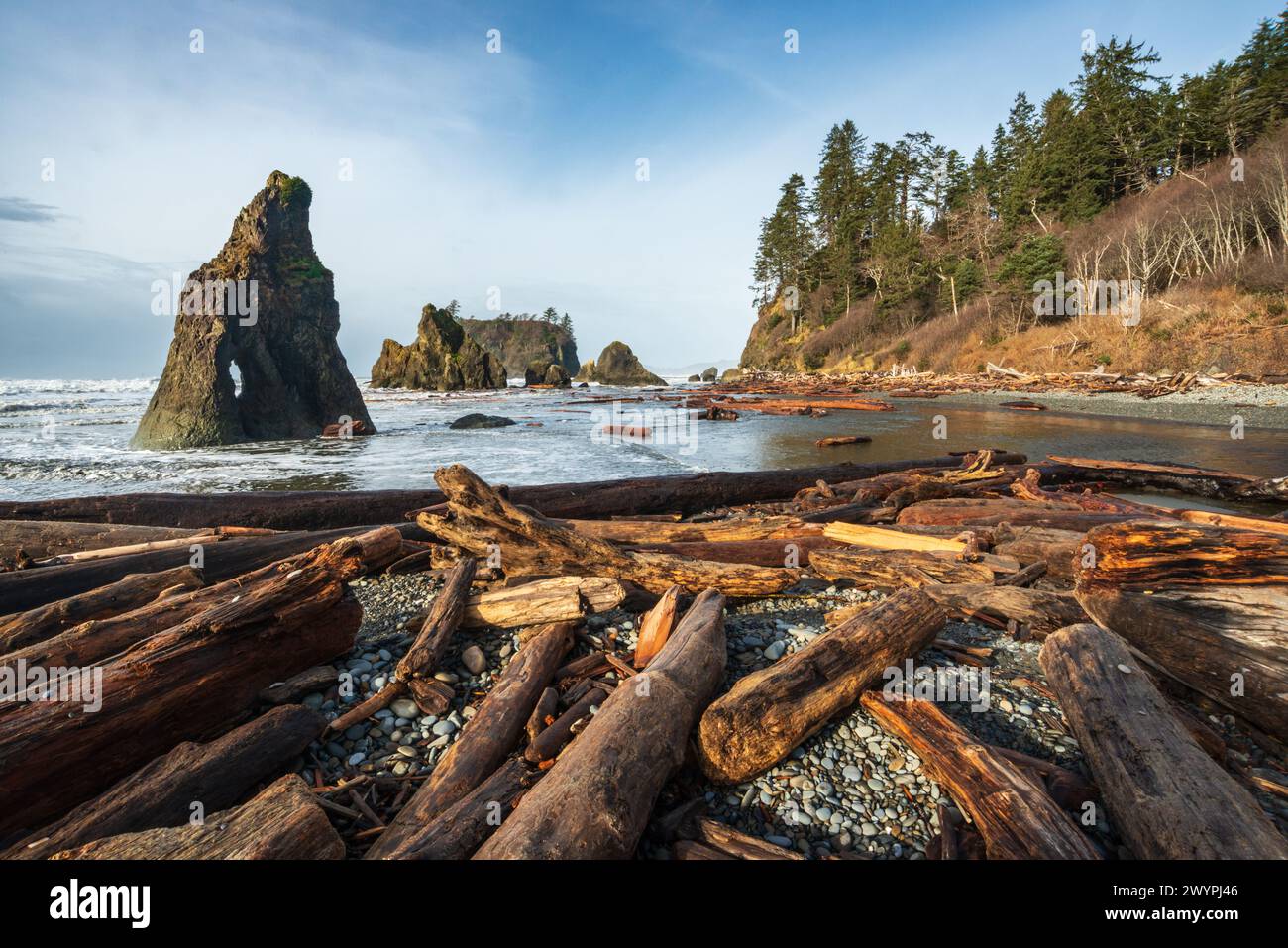 Coastal Rock Formations at Ruby Beach in Olympic National Park in ...