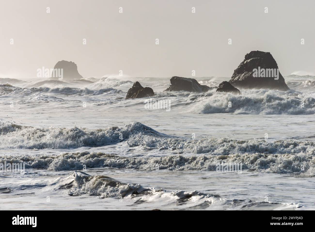 Coastal Rock Formations at Ruby Beach in Olympic National Park in ...