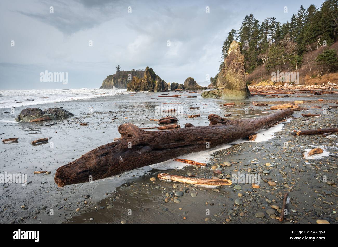Coastal Rock Formations at Ruby Beach in Olympic National Park in ...