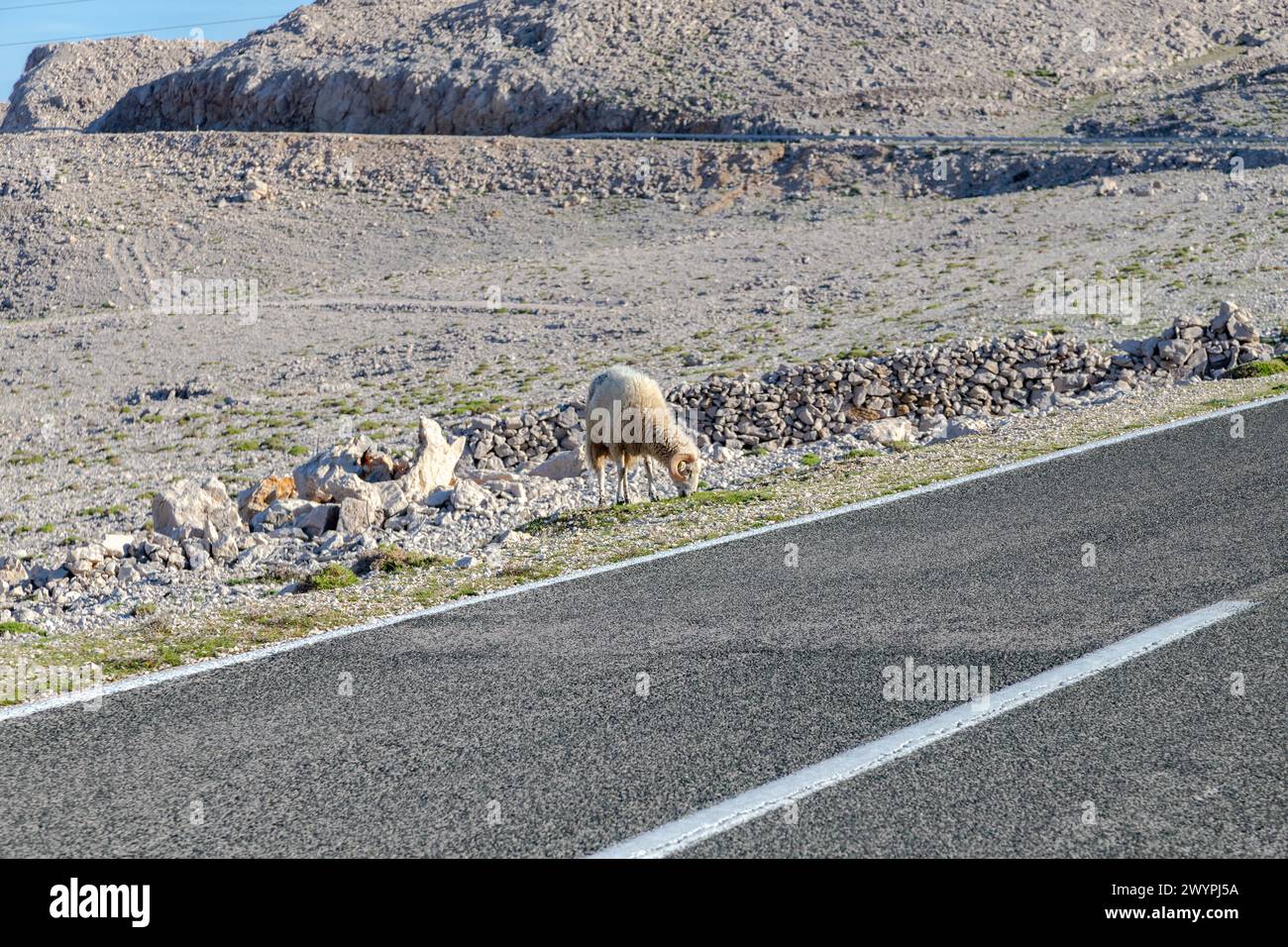 Ram range hi-res stock photography and images - Alamy