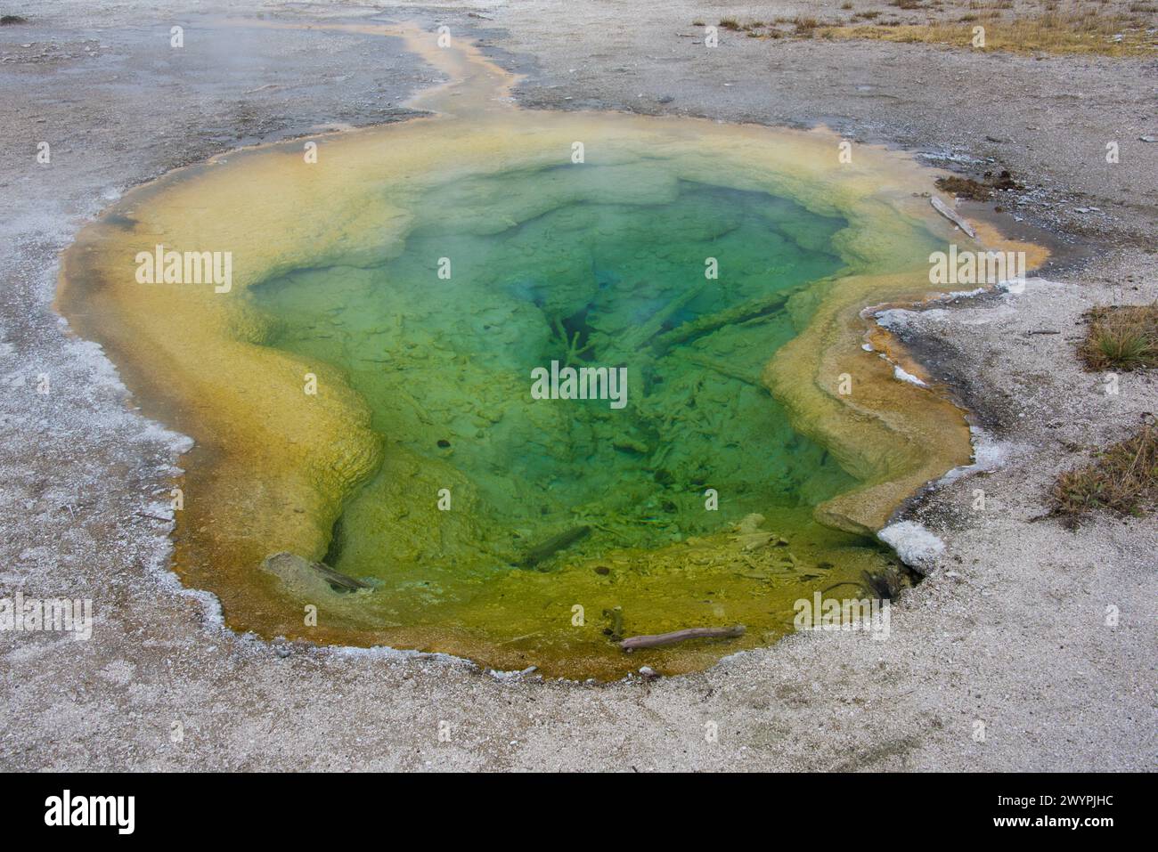 Morning Glory pool in Yellowstone national park showing the clear water ...