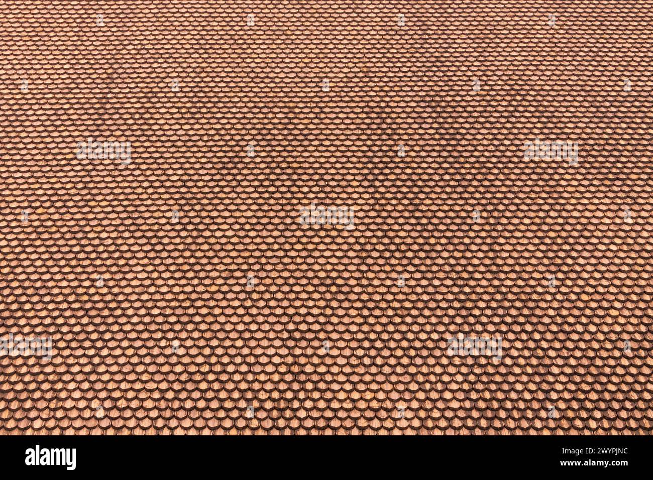 Light brown old weathered circular wooden shingles roof background or ...