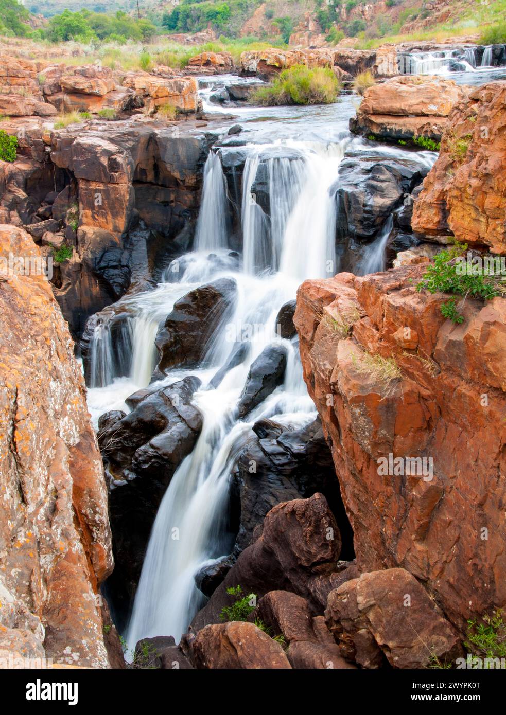 Borque hi-res stock photography and images - Alamy