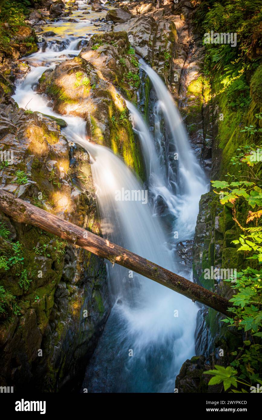 Sol Duc Falls Waterfall at Olympic National Park in Washington State, USA Stock Photo - Alamy