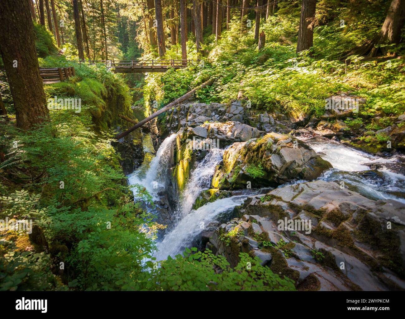 Sol Duc Falls Waterfall at Olympic National Park in Washington State ...
