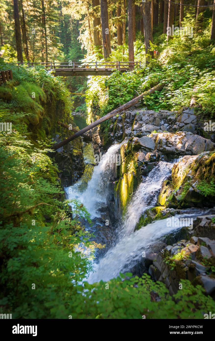 Sol Duc Falls Waterfall at Olympic National Park in Washington State ...