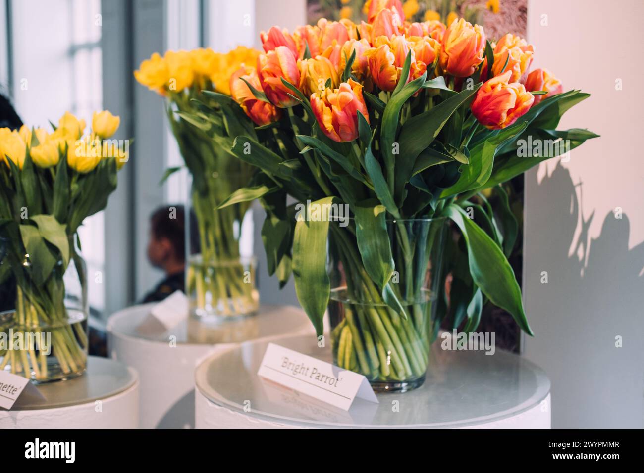 Elegant display of natures design hi-res stock photography and images ...