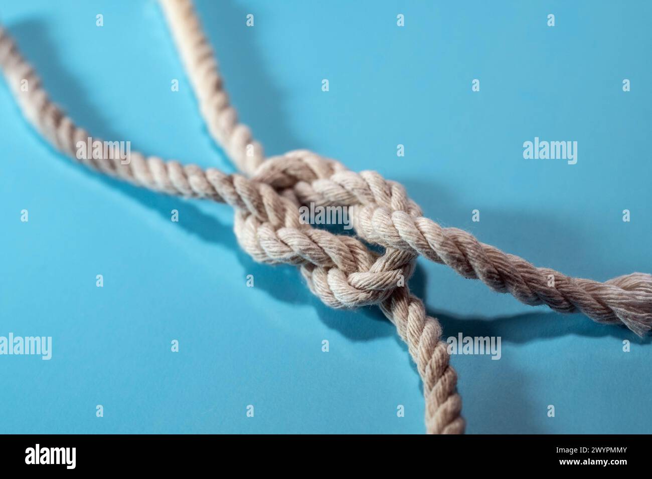 Knot of two ropes on a blue background, concept for teamwork, business ...