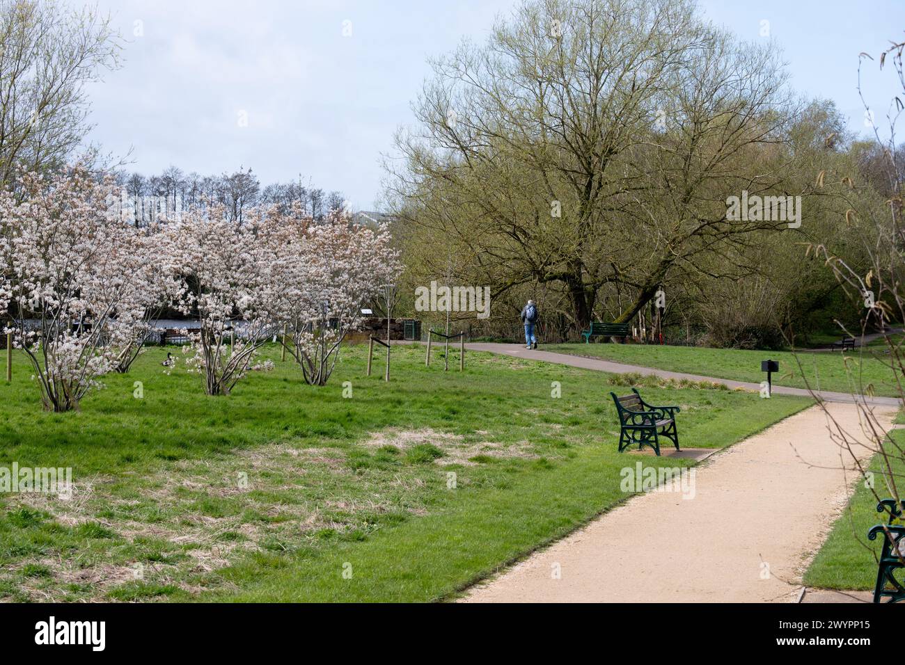 Hillfield Park, Monkspath, Solihull, West Midlands, England, UK Stock ...