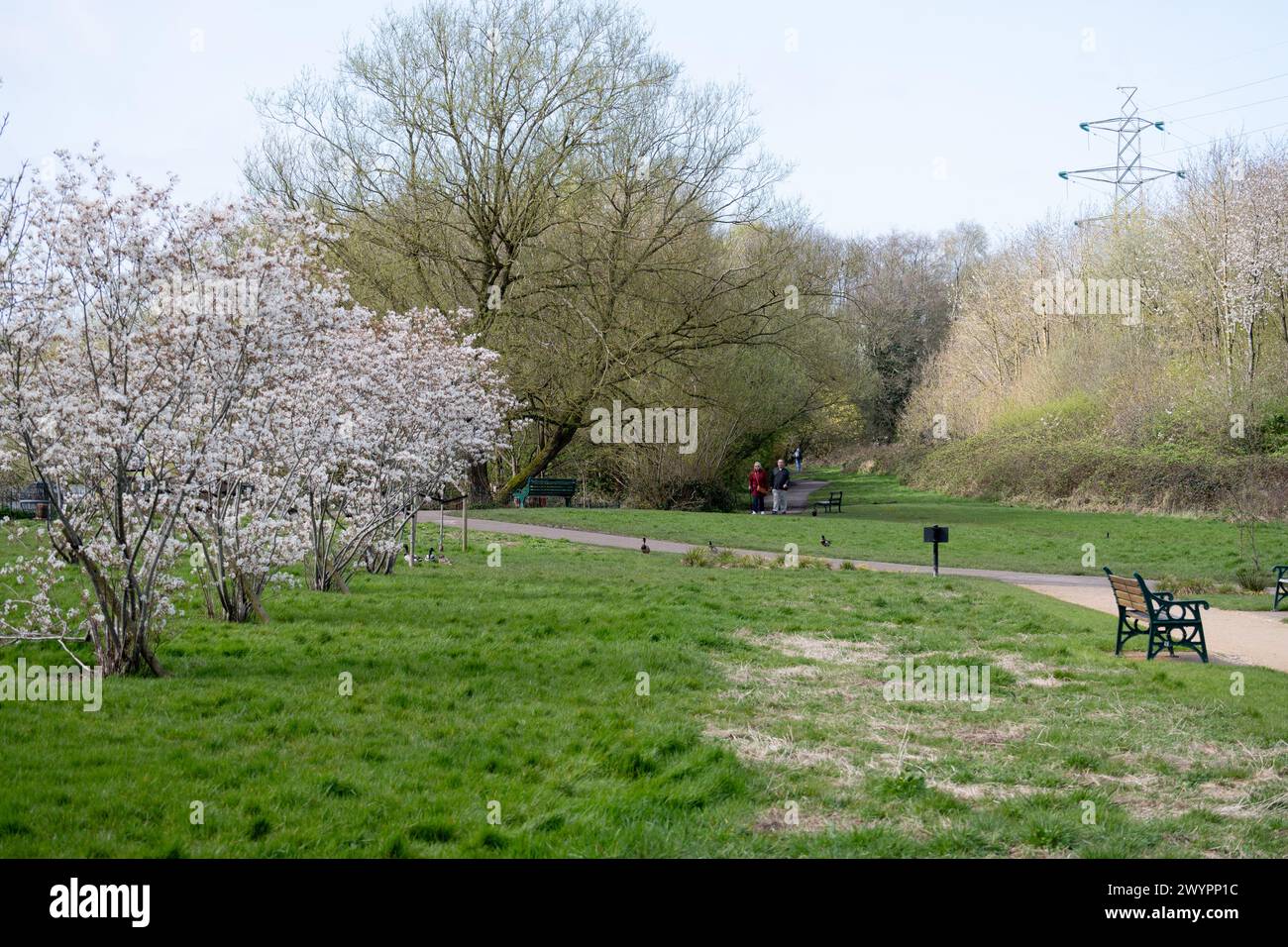 Solihull nature reserve hi-res stock photography and images - Alamy