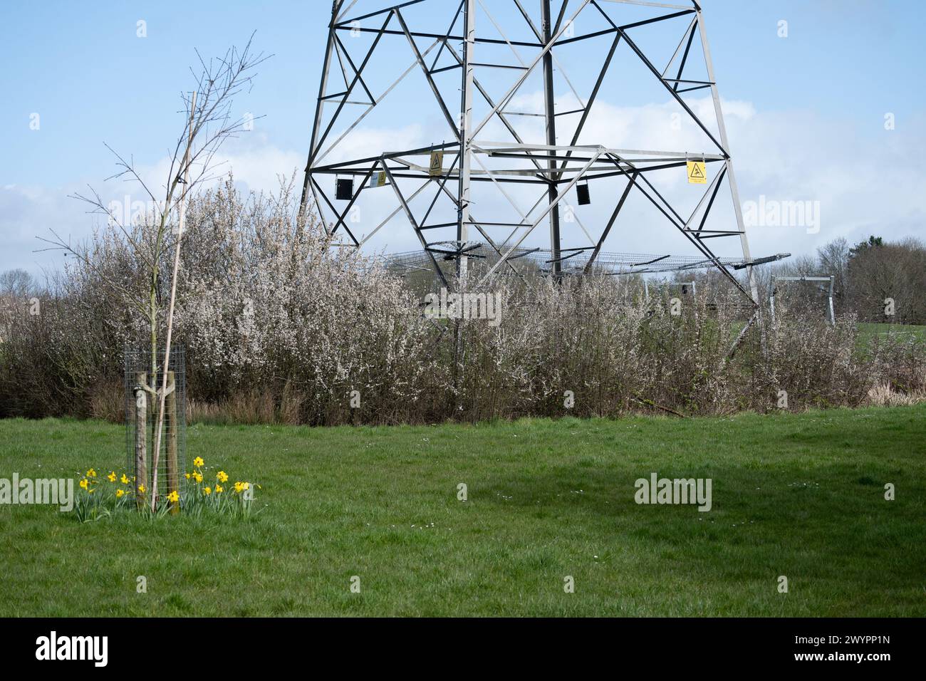 Electricity pylons in midlands england hi-res stock photography and ...