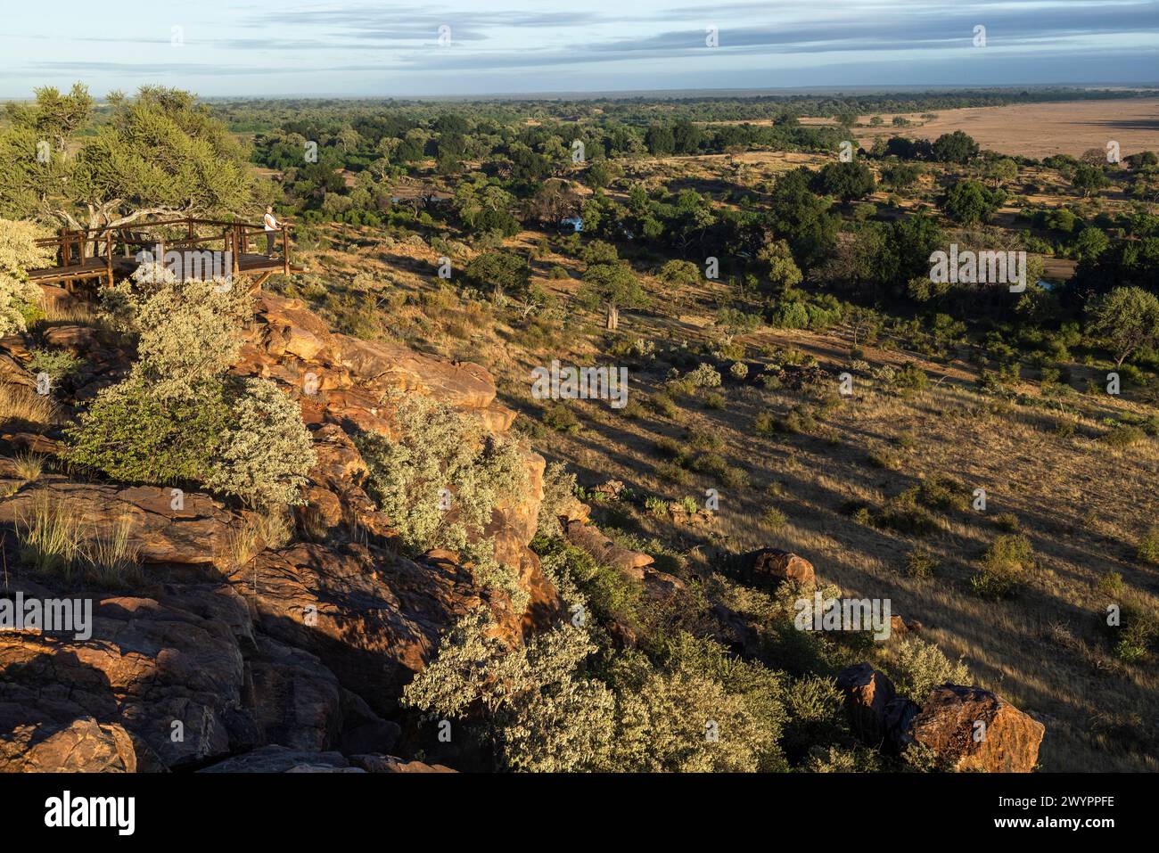 Tourist looking out over the confluence of the Shashe and Limpopo ...