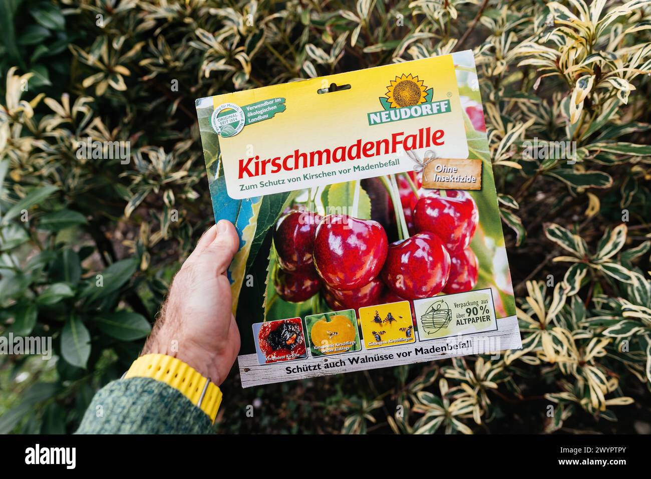 Paris, France - Mar 9, 2024: A hand holds a Neudorff cherry maggot trap ...
