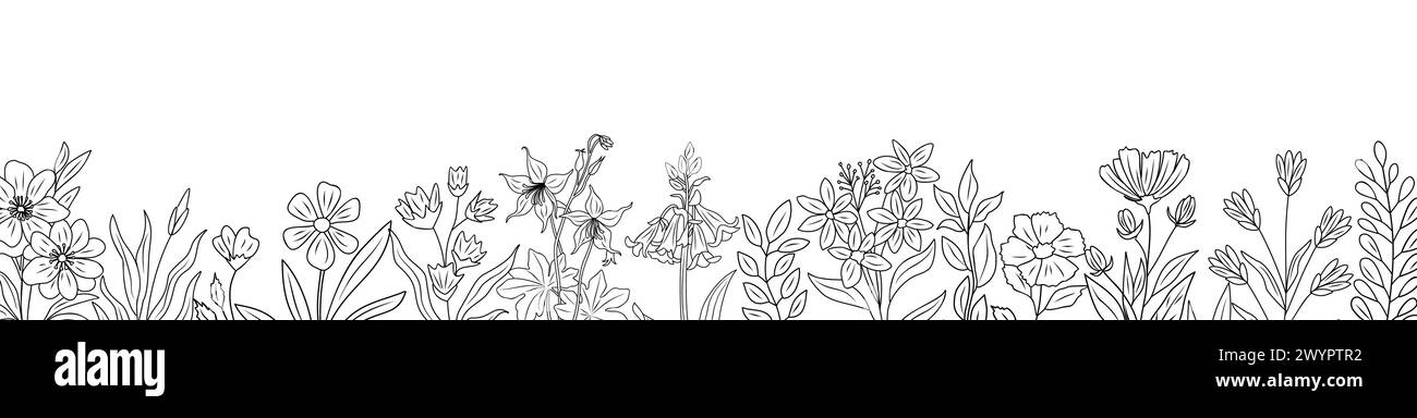 Wild blooming meadow flowers and herbs border Stock Vector Image & Art ...