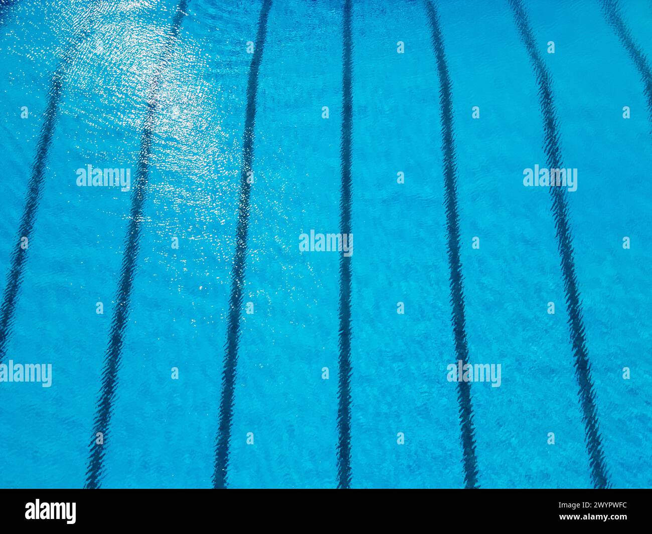 Blue Swimming Pool With Lines of Water Stock Photo - Alamy