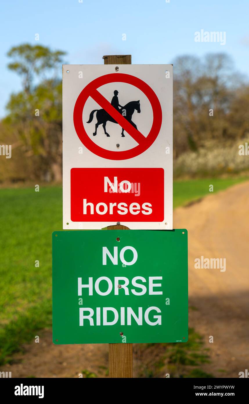 No Horses, No Horse Riding Sign, Suffolk Sandlings, Shottisham, England ...