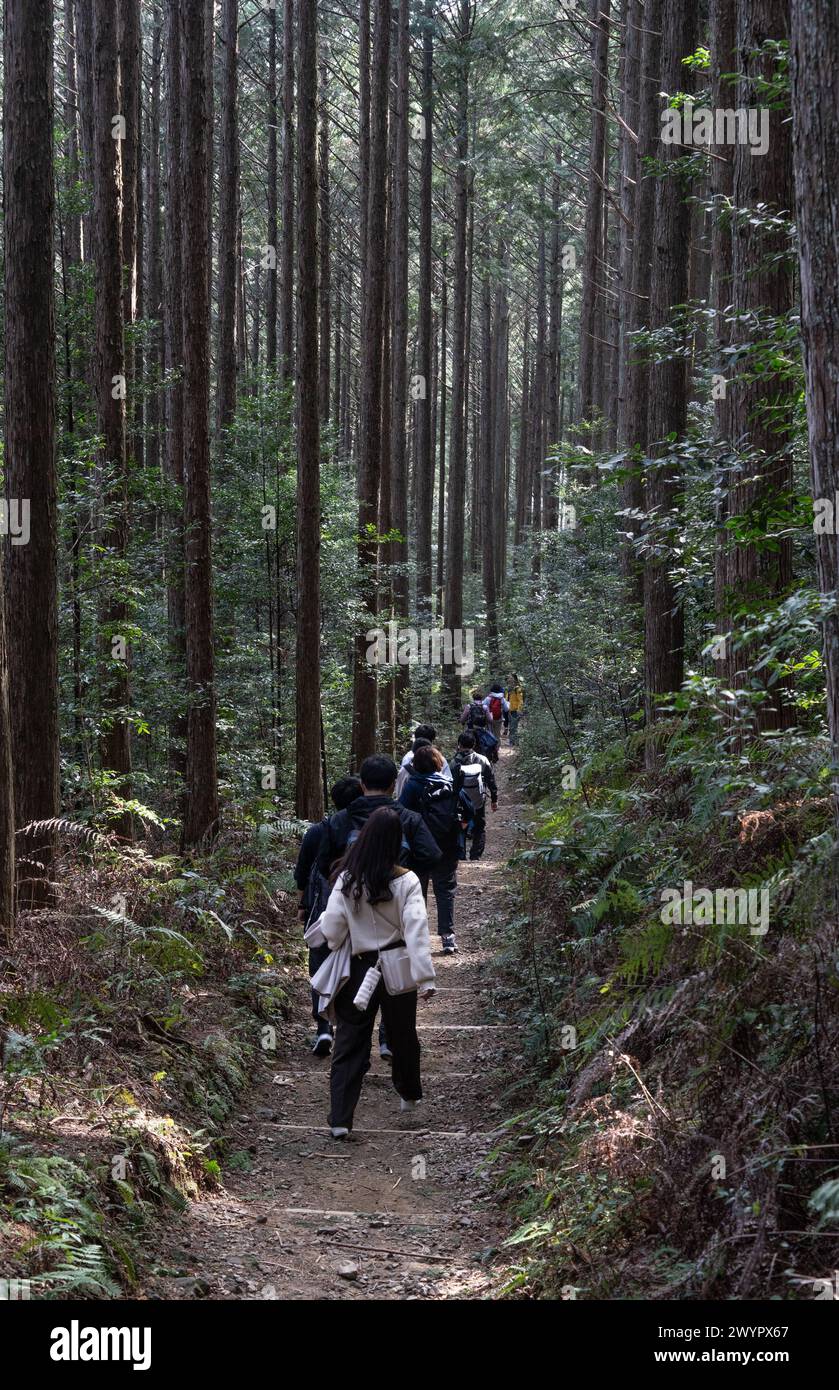 Visitors and views along the Kumano Kodo ancient pilgrimage route near ...