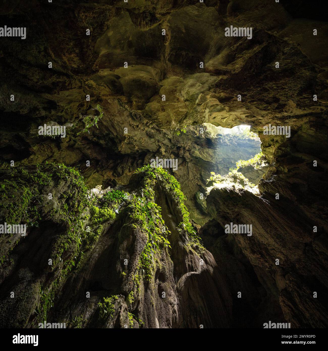 Fairy cave malaysia hi-res stock photography and images - Alamy