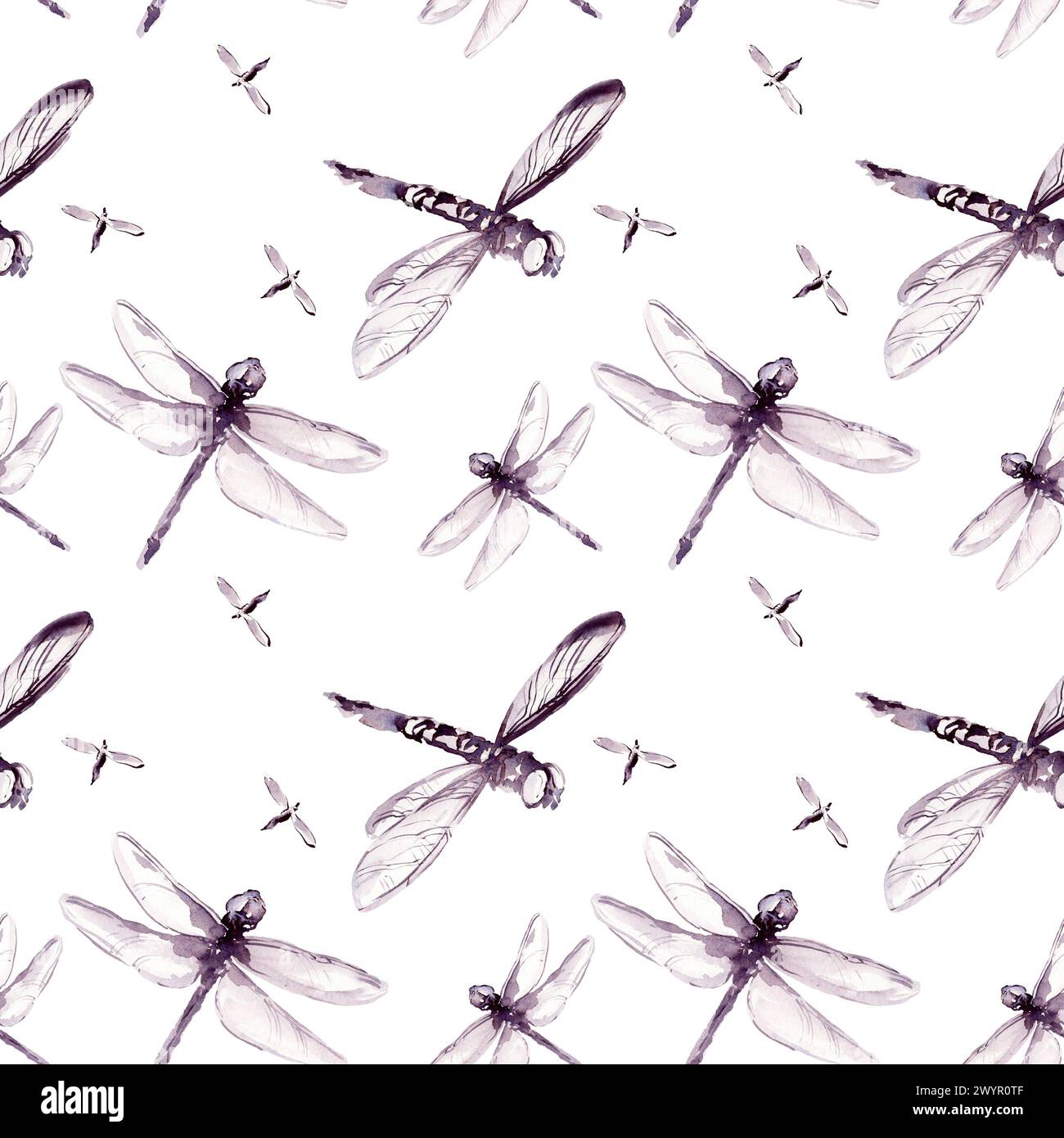 seamless pattern with summer dragonfly insect, monochrome watercolor ...