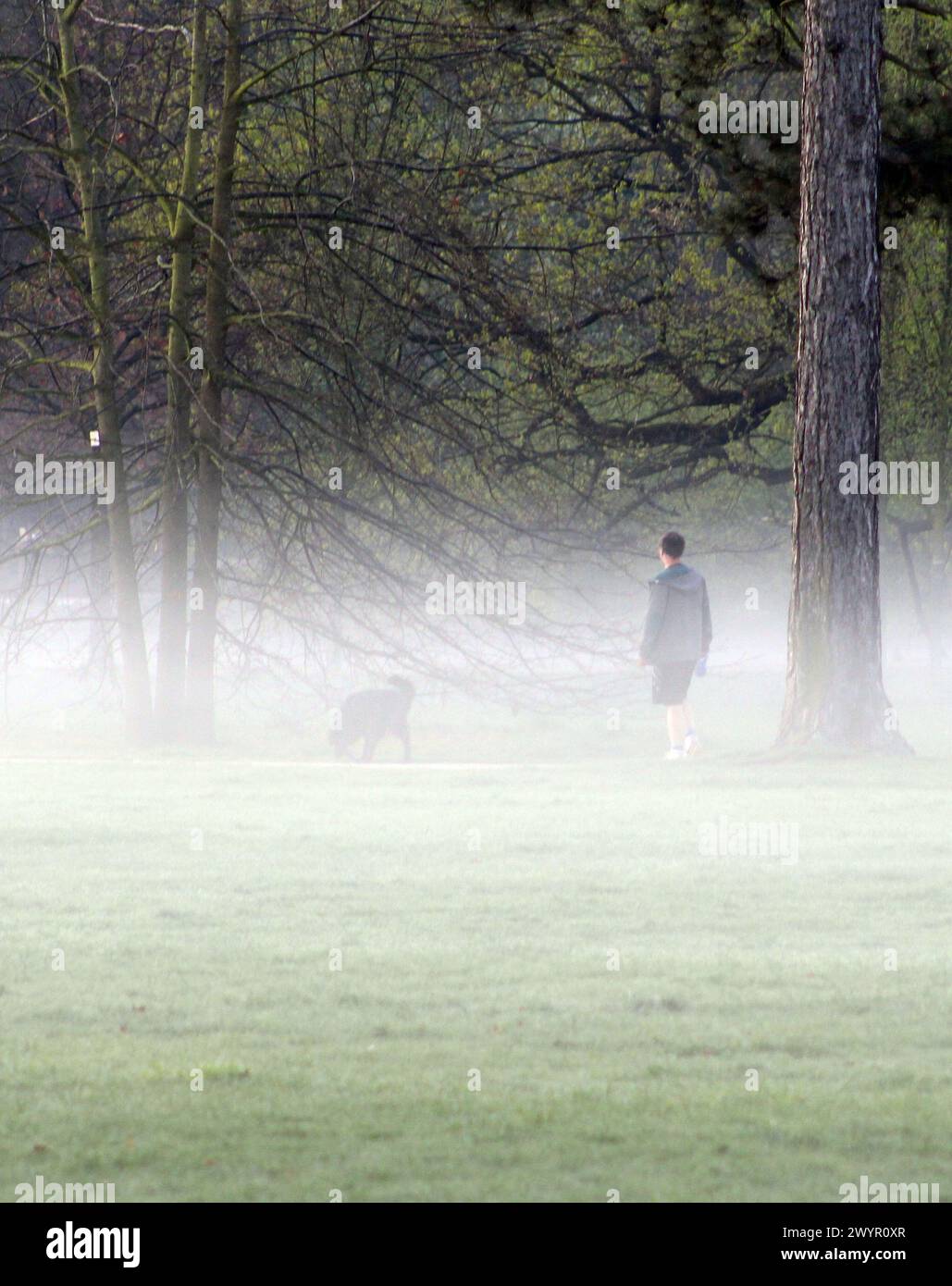 Morning fog in Prague's Stromovka park, Prague, Czech Republic, April 7 ...