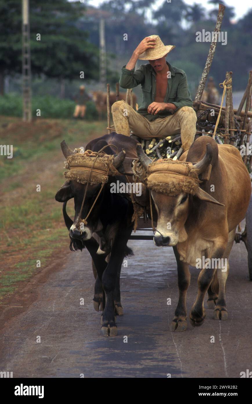 Man sits on wagon hi-res stock photography and images - Alamy