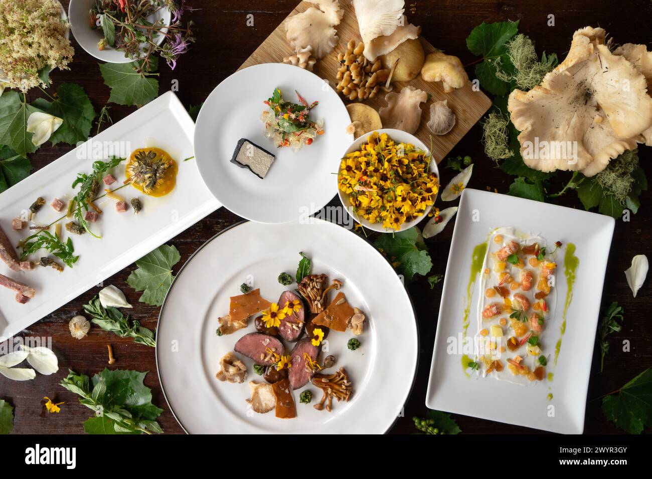 Foraged ingredients arranged in a display overhead looking down Stock ...